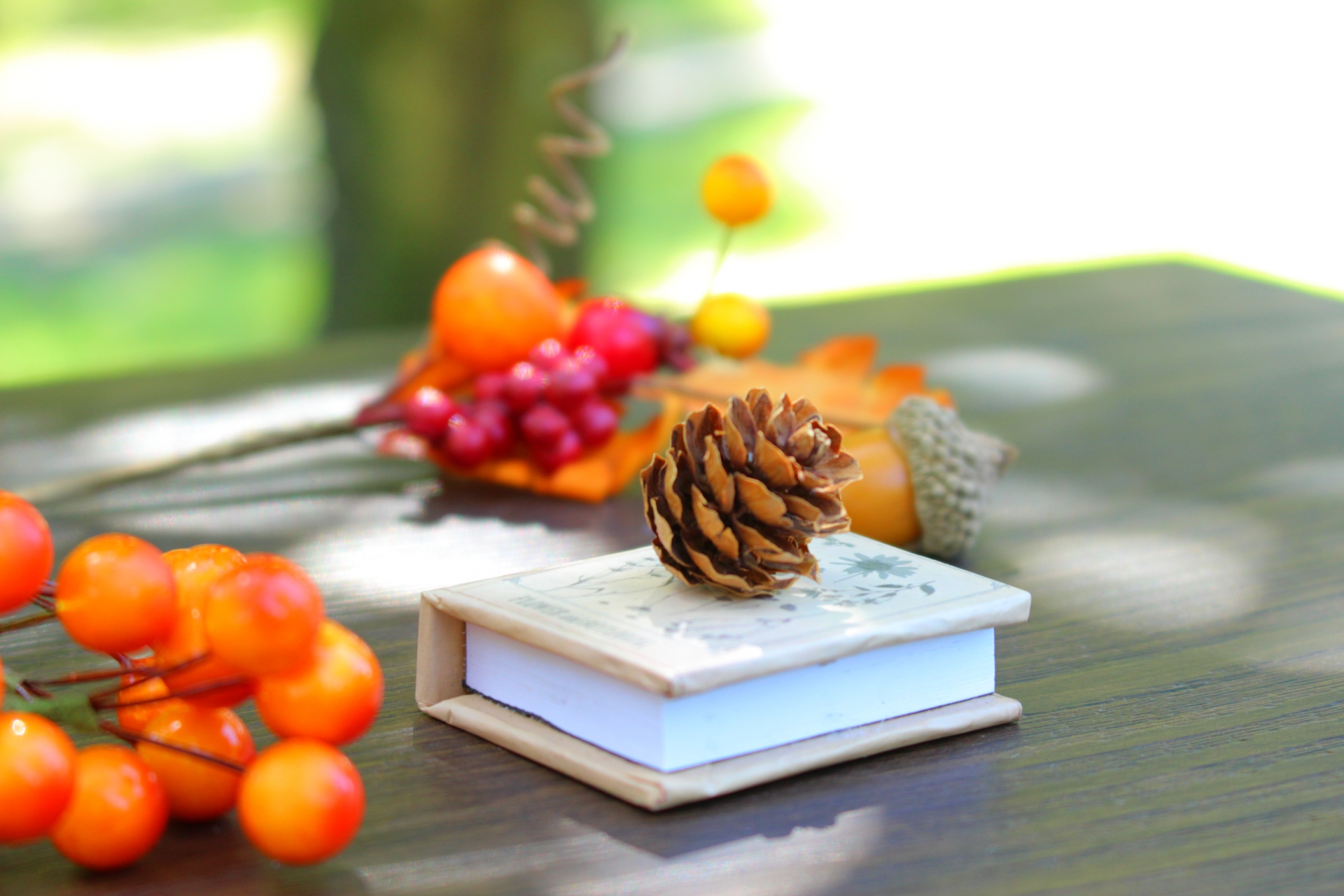 久しぶりの美ボイスレッスン | 朗読 音読 Mimoza（ミモザ）